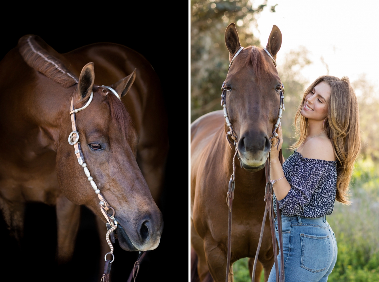 Gilroy, California - Sisters Equine Session - Elizabeth Hay Photography