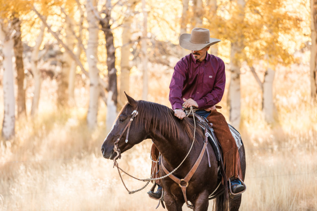 California Cowhorse Session - Elizabeth Hay Photography