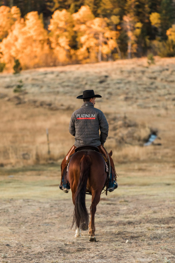 California Cowhorse Session - Elizabeth Hay Photography