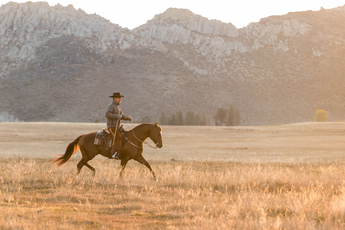 California Cowhorse Session - Elizabeth Hay Photography