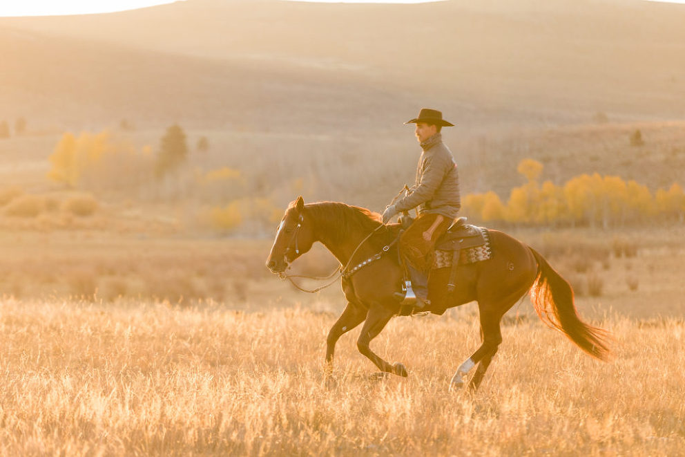 California Cowhorse Session - Elizabeth Hay Photography