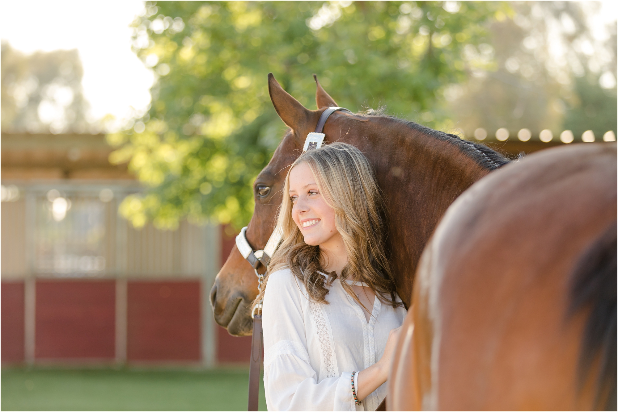 Bakersfield Equine Photography Session - Elizabeth Hay Photography