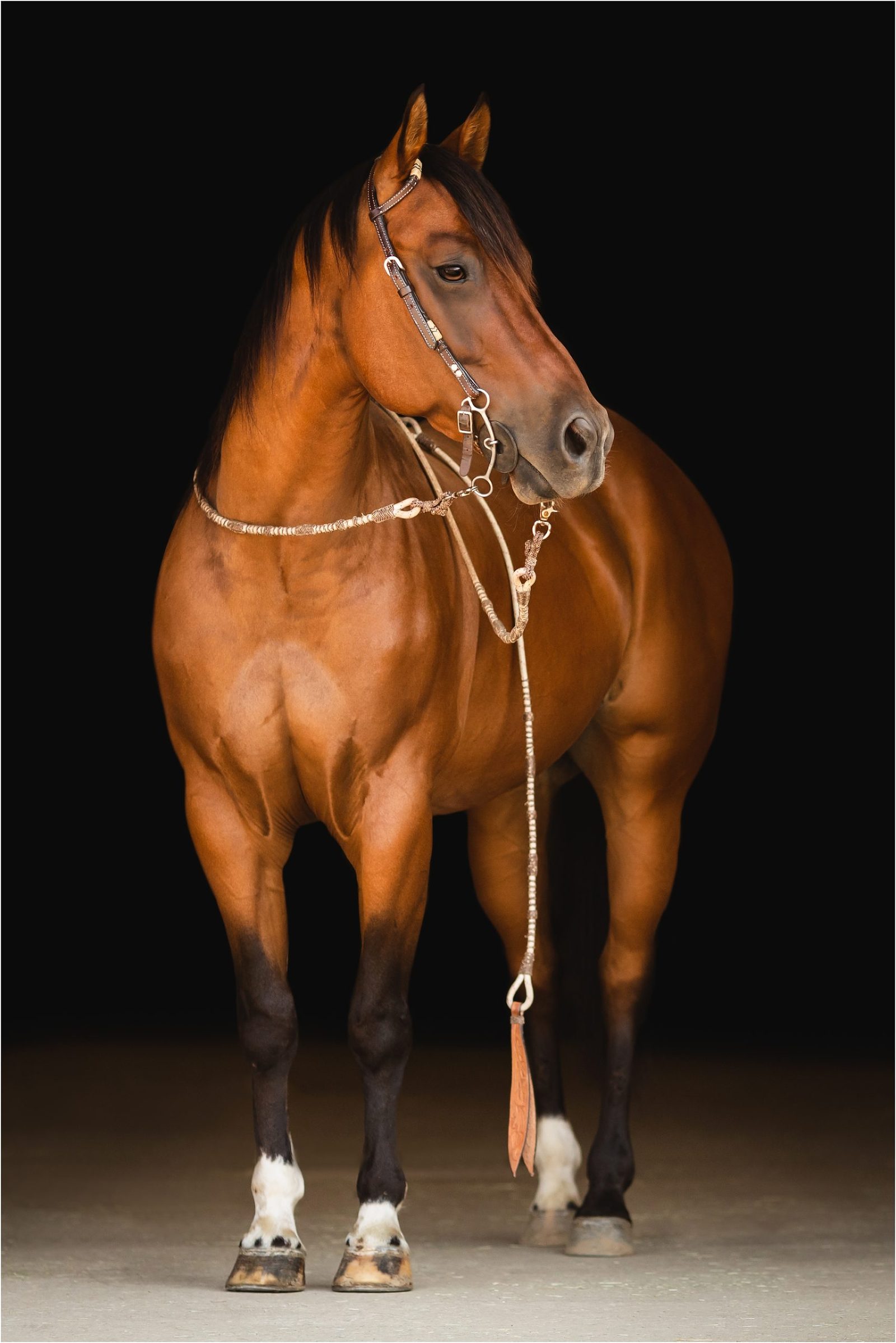 Western Black Background Portraits - Elizabeth Hay Photography
