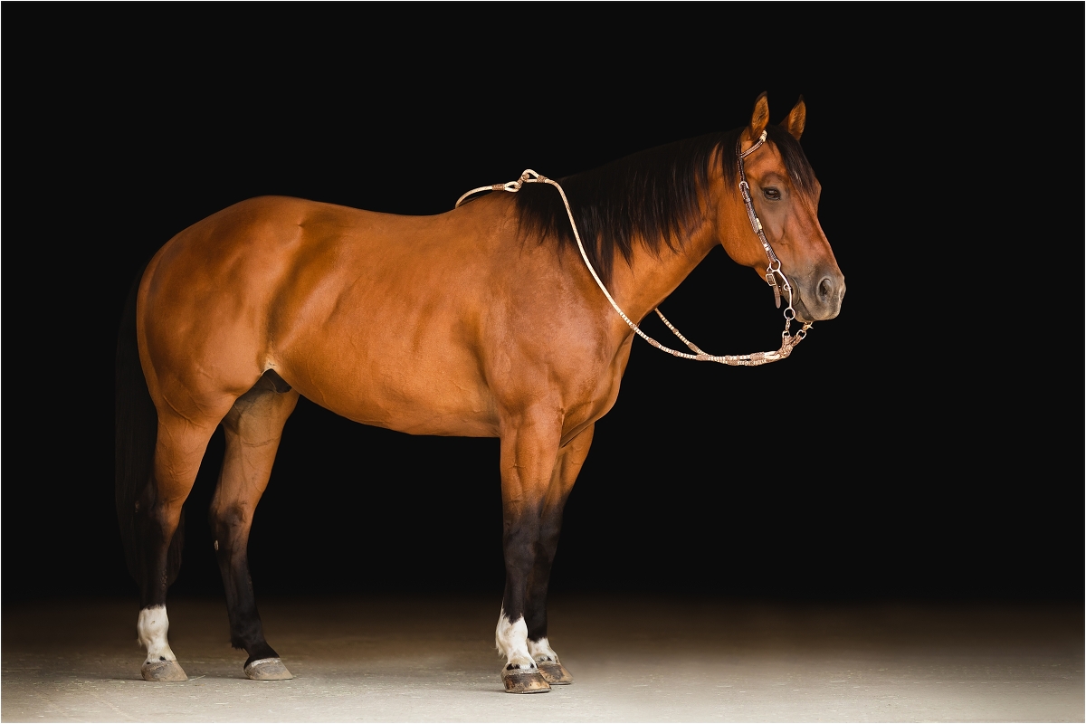 Western Black Background Portraits - Elizabeth Hay Photography