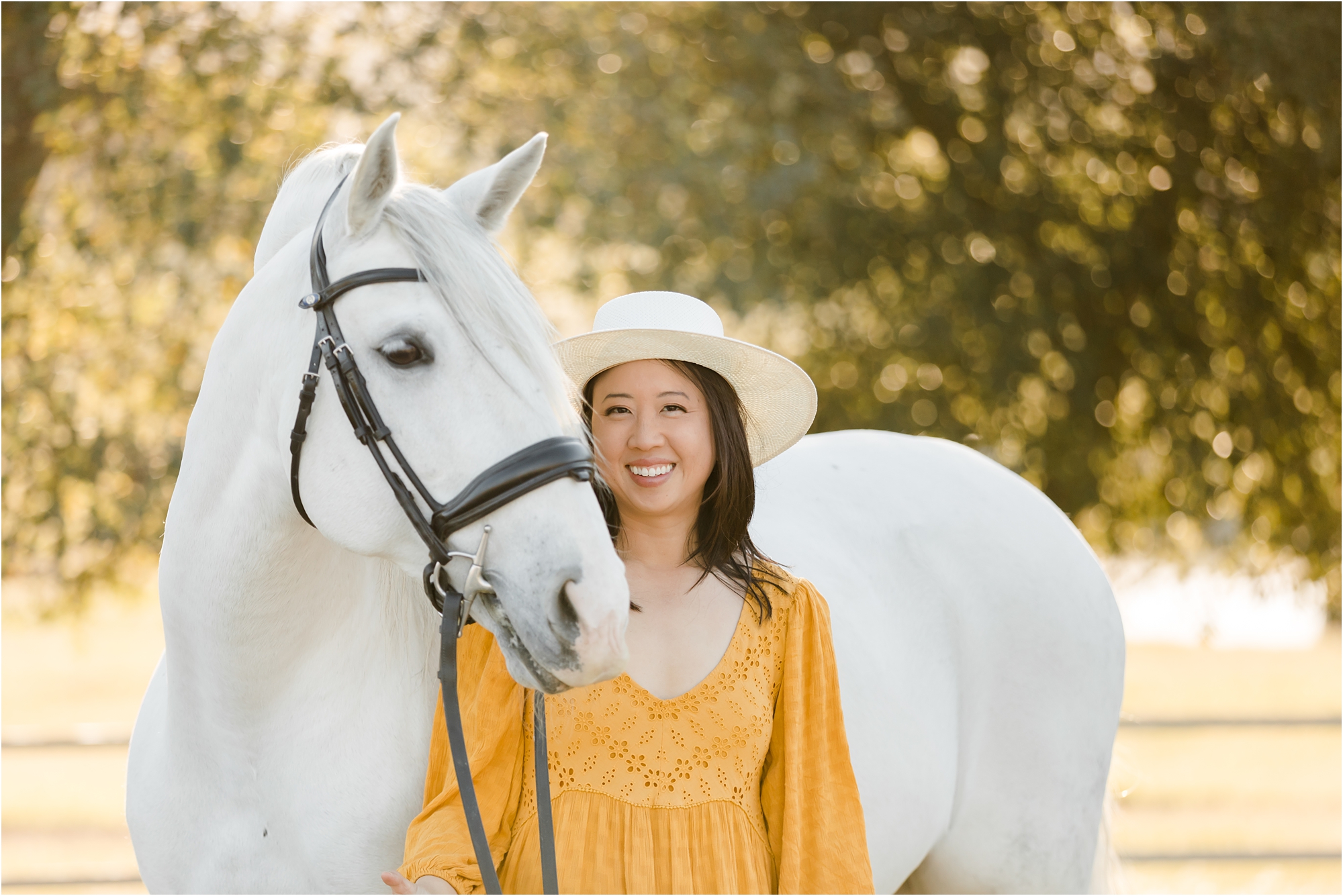 Woodside Dressage Horse Session - Elizabeth Hay Photography